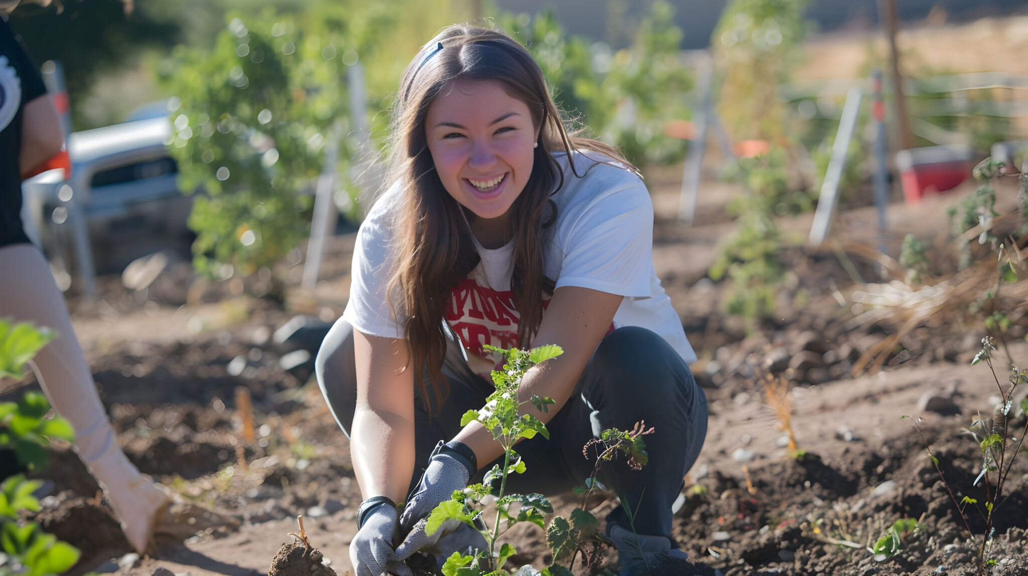 SWOS – Southwest Open School